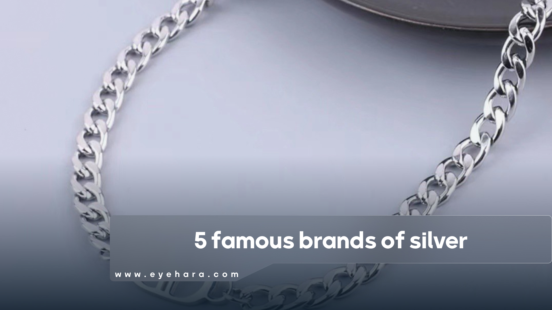 Introduction of famous silver brands in 2024