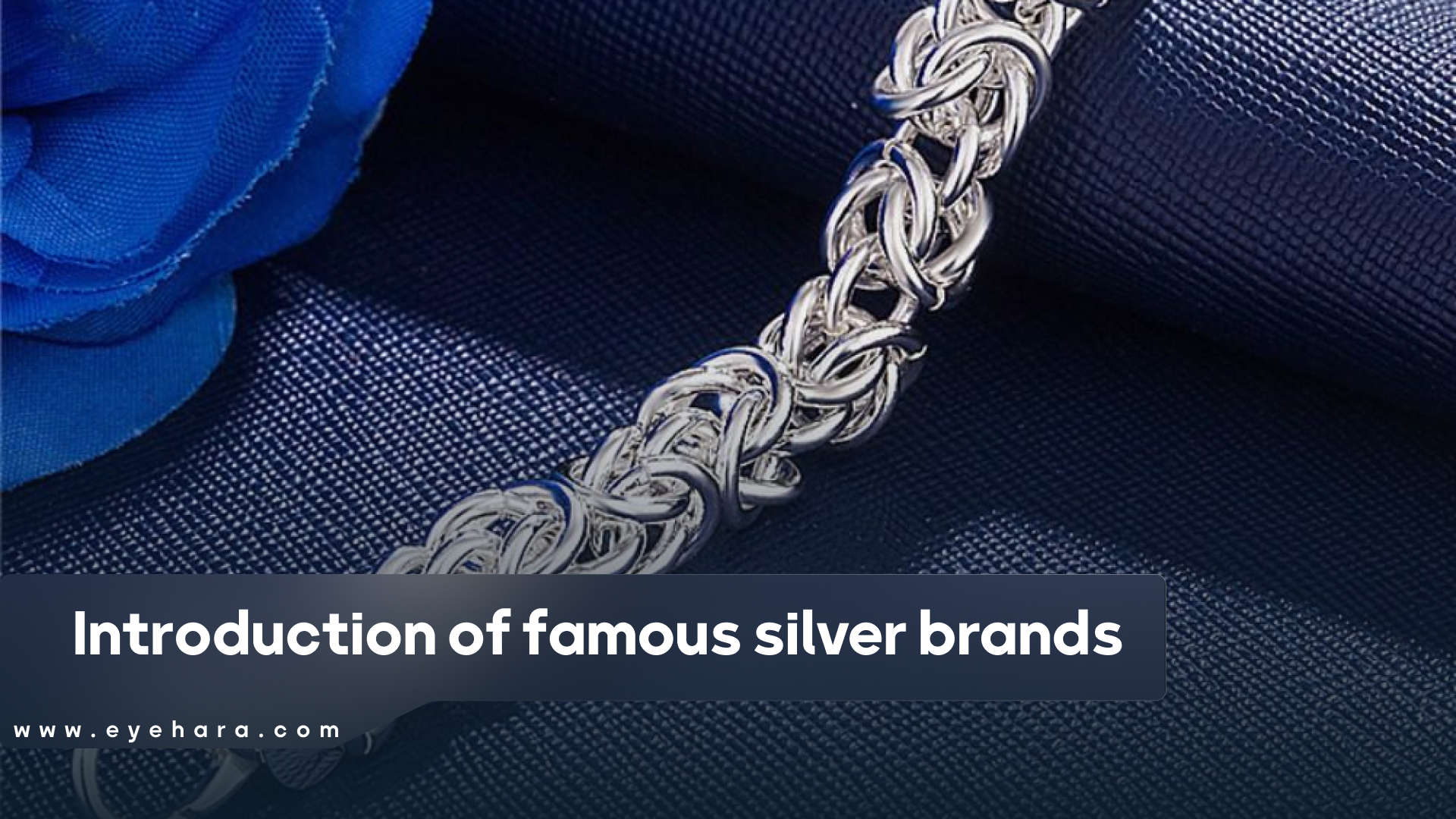 Introduction of famous silver brands in 2024